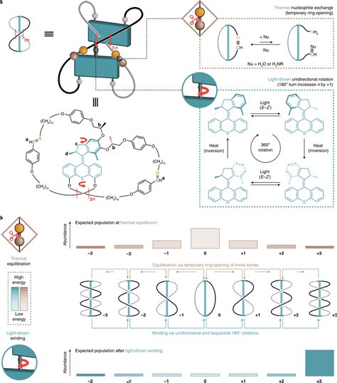 Working Principle Of Amm ±n A A Photoresponsive Molecular Motor Is Download Scientific Diagram