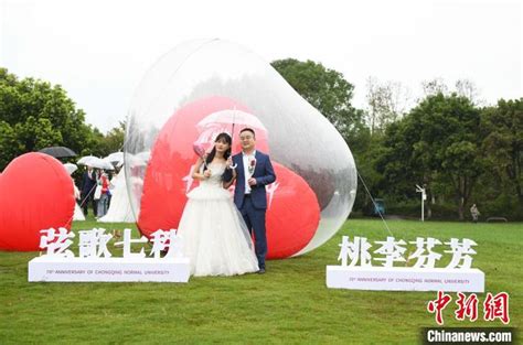 重庆师范大学70对校友伉俪返校拍摄婚纱照共庆母校70华诞 新闻中心 温州网