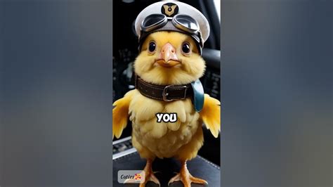 Thank You For Subscribing Already 100 Of Us🎉 Aiyoutubeshorts Youtube