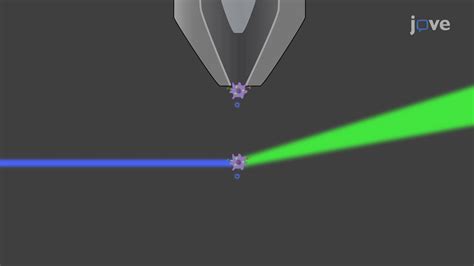 Video Measuring Microglial Uptake Of Intravitreally Delivered