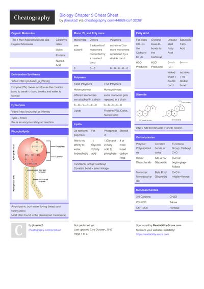 3 Macromolecules Cheat Sheets Cheat Sheets For Every Occasion
