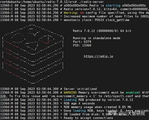 Risc V服务器(sg2042)部署redis 知乎 Risc V服务器(sg2042)部署redis 知乎