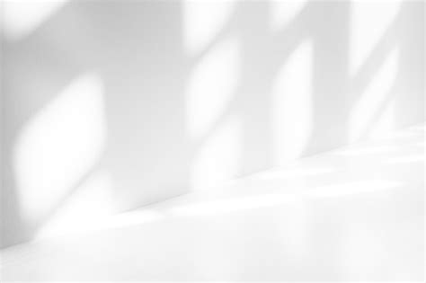 벽 인테리어 배경 스튜디오 및 배경은 창 색상 흰색에서 Productswith 그림자를 보여줍니다 Background For Text Insertion And