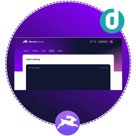 Directus Integration Backend For Every Custom Build Drapcode