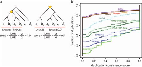 The Duplication Consistency Score For Assessing Phylogenetic Methods