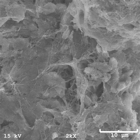Sem Micrographs Of Surface Fractures On The Clay Bricks A Poorly