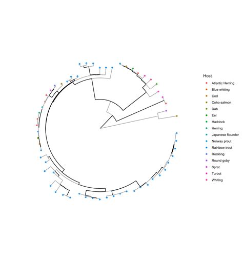 Creating A Publication Quality Phylogeny Using Ggtree Arafat Rahman