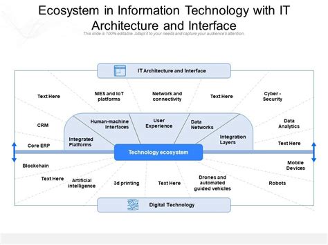 Ecosystem In Information Technology With It Architecture And Interface Ppt