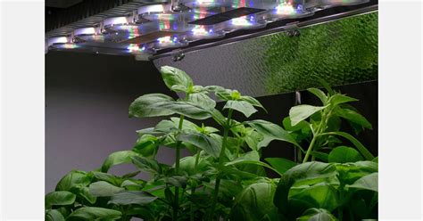 Dynamic Lighting System Including Controls And Vision Systems To Be Displayed At Greentech