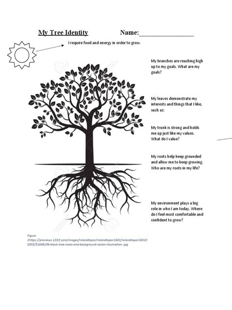 Yr 5 Lesson 10 My Tree Identity Graphic Organizer Pdf Trees Leaf
