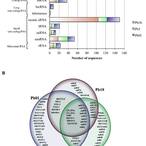 A Graph Showing The Number Of Sequences In Each Class Of Rna
