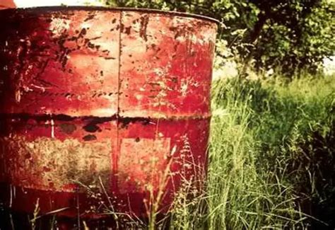 단식 후 공복 상태에서 나타나는 신진대사 변화 코지네스트