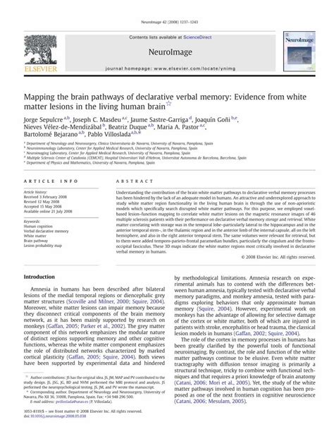 Pdf Mapping The Brain Pathways Of Declarative Verbal Memory Evidence From White Matter