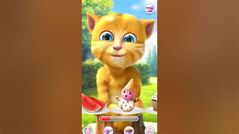 Talking Ginger Funny Video 🍓🍒🍉 Talking Ginger Eating 🍎🍑🍊🥭 Laughing 🍍🍌🥥🍇 Birthday 🫐 Funny