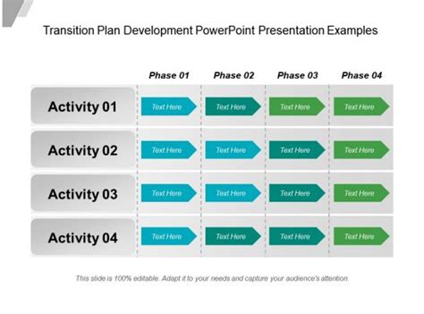 Transition Plan Excel Slide Team