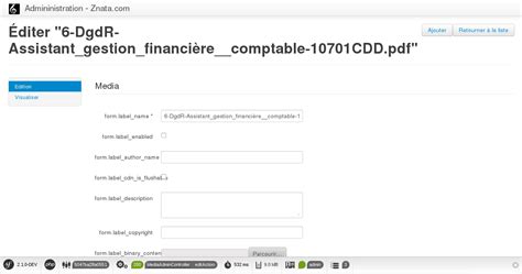 Symfony How To Configure Default Values In Sonatamediabundle Stack Overflow
