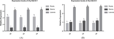 Phyton Free Full Text Identification And Evaluation Of Insect And Disease Resistance In