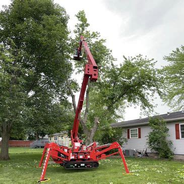 Fischer Tree Service Tree Work Stump Removal Tree Removal