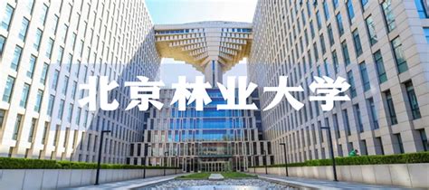 首批4所在京高校在雄安建新校区规划方案投用时间 学会资讯 中国城市规划网