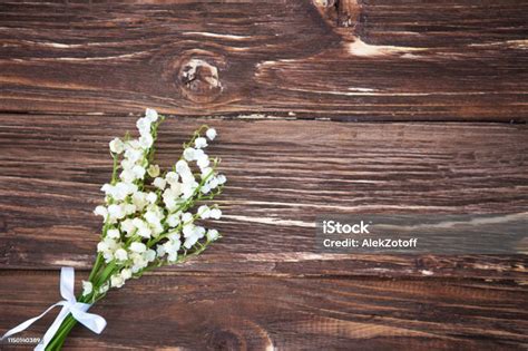 섬세 한 향기와 함께 멋진 향기로운 흰 꽃 갈색 소박한 나무 배경에 계곡의 백합 5월에 대한 스톡 사진 및 기타 이미지 5월 경관 계곡 Istock