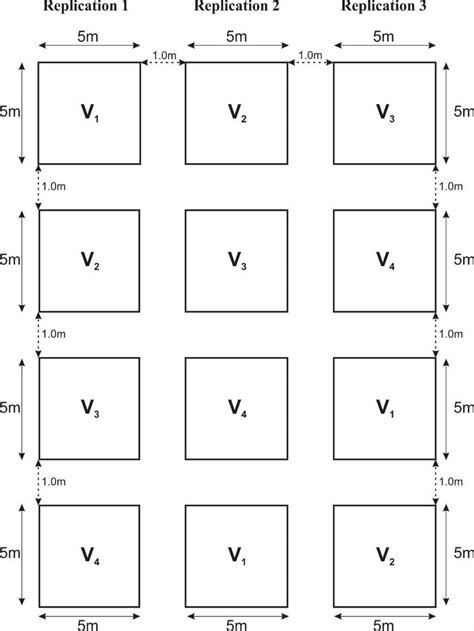 Layout Design For The Four Cultivars Of Pearl Millet V1 V2 V3 And Download Scientific