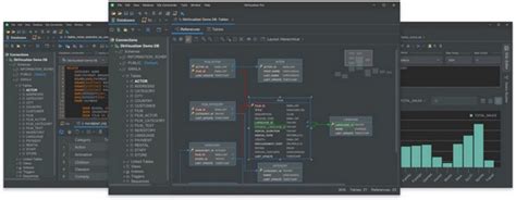 download dbvisualizer pro v25 1 3