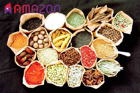 لیست مواد غذایی طبع گرم مجموعه پرورش حیوانات خانگی آمازون زوو