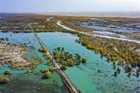 塔里木河：沙漠中的绿色走廊新疆塔里木河输水流域内陆河新浪新闻