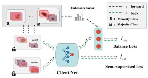 applied sciences free full text class imbalanced medical image