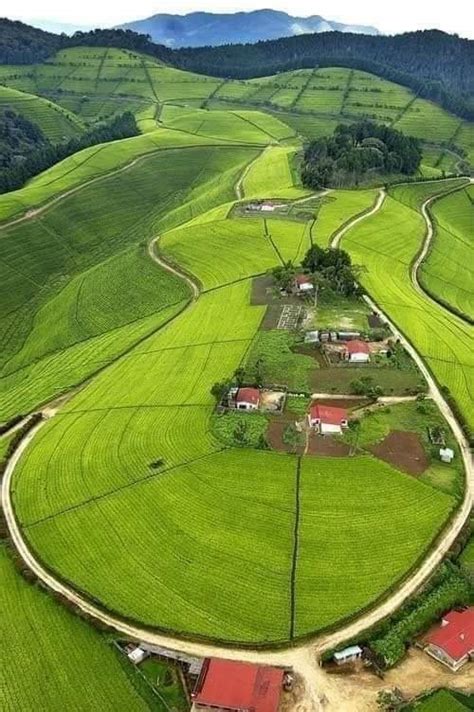 სახელმწიფო აფრიკაში რუანდა