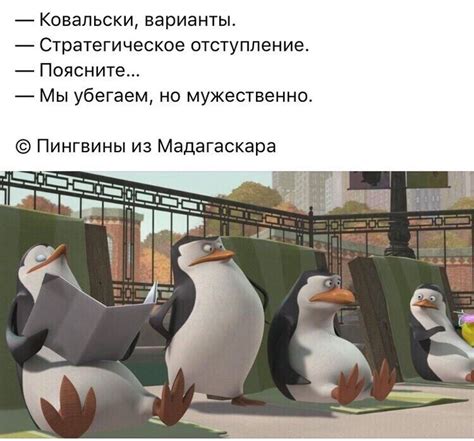 Пин от пользователя Natalia Н В С на доске нескучности Самые смешные картинки Пингвины