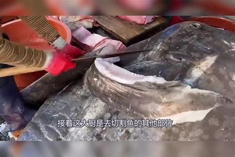 韩国人切割重达1 5吨的巨型翻车鱼，打破了我的认知，你敢吃吗？ 翻车鱼 认知