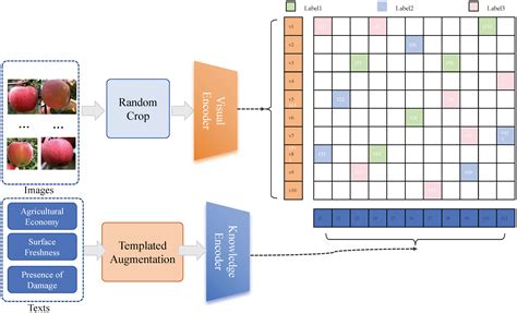 Framework For Apple Phenotype Feature Extraction Using Instance