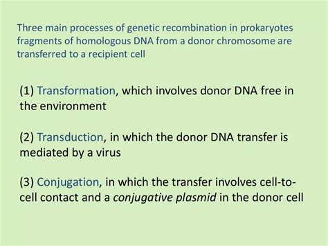 Generalized And Specialized Transduction Transformation And Conjugation