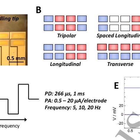 Wired Stimulation Array For Testing Optimal Electrode Layouts And Download Scientific Diagram
