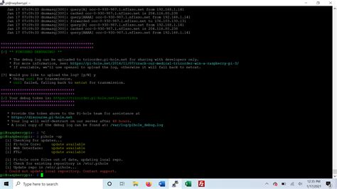 Cant Update Pi Hole · Issue 3996 · Pi Holepi Hole · Github