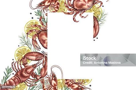 레몬과 허브를 곁들인 새우 게 바닷가재를 이미지한 프레임 손으로 그린 수채화 일러스트 해산물 이미지가 있는 컬러 템플릿입니다 메뉴 조리법 패키지 레이블용 0명에 대한 스톡