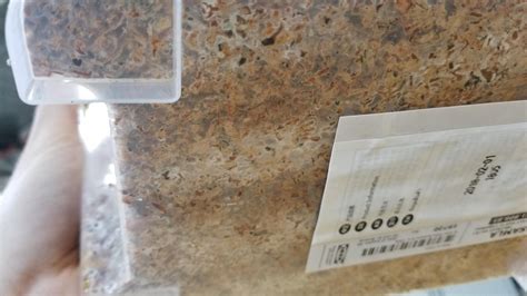 Mycelium Stool Prototype 8 Steps Instructables Mycelium Stool Prototype 8 Steps Instructables