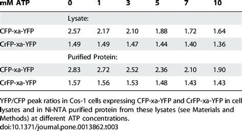 Yfpcfp Peak Ratios Of Cfp Yfp Constructs Download Table