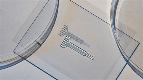 MIT Scientists Develop Flexible Metal Free Electrode Extremetech