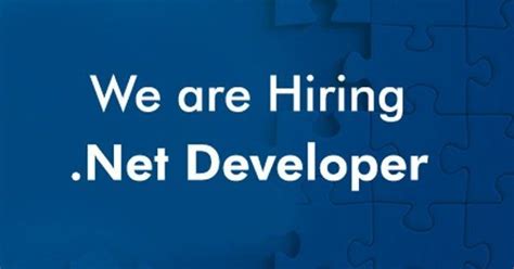 james n on linkedin netdeveloper seniordotnetdeveloper