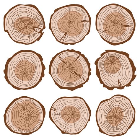 Cut Of Tree Trunk Color Set Round Cut Of Logs Collection Wavy Rings