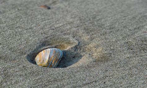 Tracing Hydrodynamic Interactions Of Water Waves By Brokenchalkpiece On Deviantart