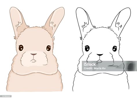 어린이를 위한 토끼 얼굴 색칠 페이지 흰색 바탕에 귀여운 토끼의 벡터 일러스트 레이 션입니다 0명에 대한 스톡 벡터 아트 및 기타 이미지 Istock