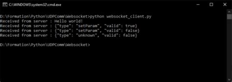 WebSockets Server Client Communication With Python AranaCorp