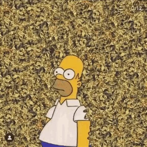Homer Simpson  Homer Simpson Simpsons Discover And Share S