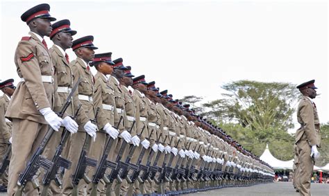 Military Obedience The Psychological Conditioning Of Soldiers — Jk Therapy