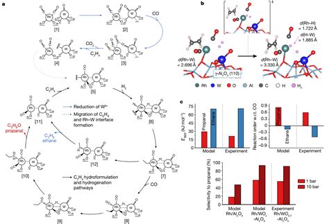 纳米人 Nature：rh Wox双功能成对催化乙烯的氢甲酰化反应