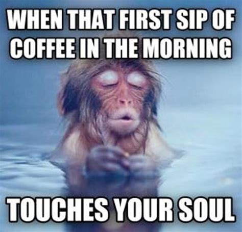 75 Funny Good Morning Memes To Kickstart Your Day