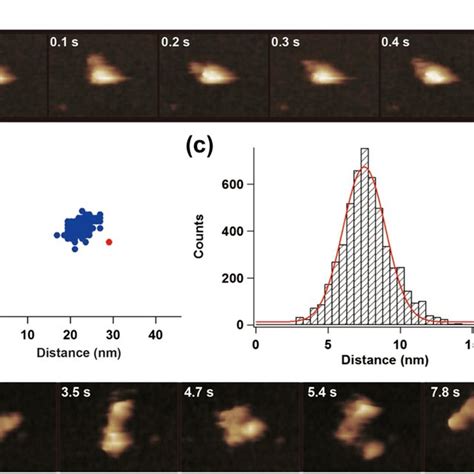 Cryo Em Structure Of Full Length Uggt A 2d Classes Of Uggt Particle
